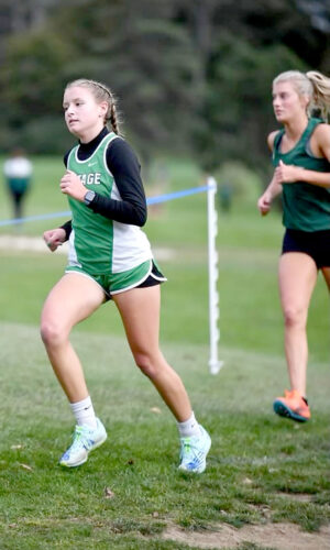 Five area returning cross country girl runners have postseason ...